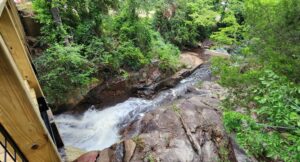 Old Mill Pond Trail: Paved Trail With a Local Pub in Lexington, SC