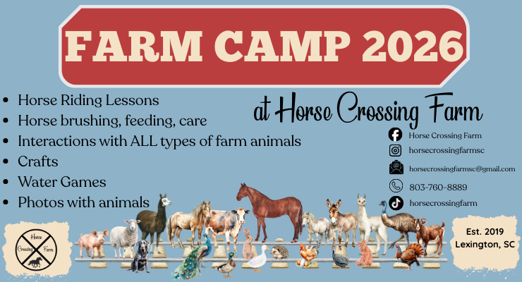 Lexington County Summer Camps